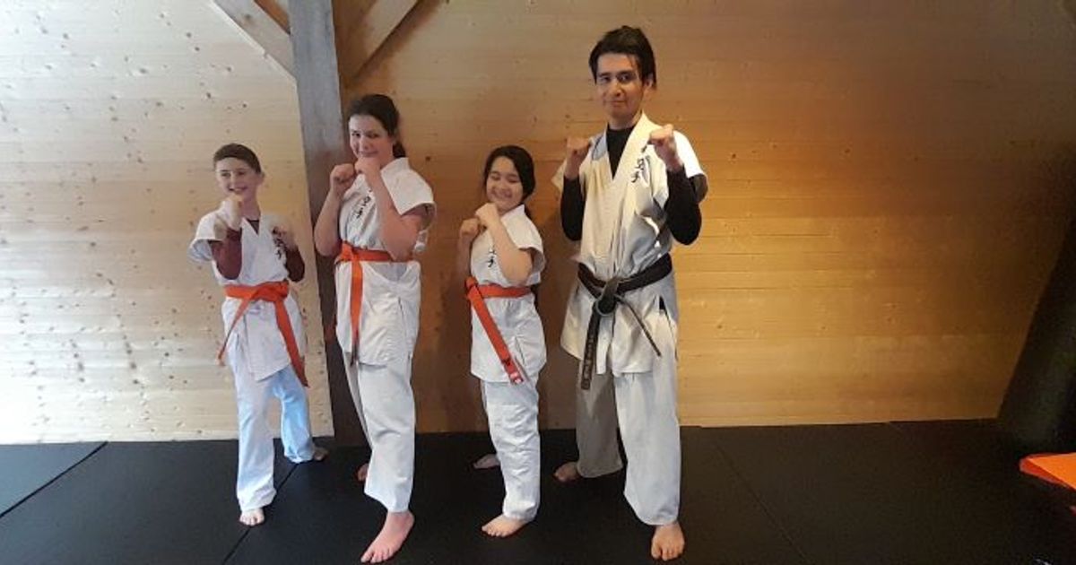 Examination of Shin Karate grade | Shin Karate